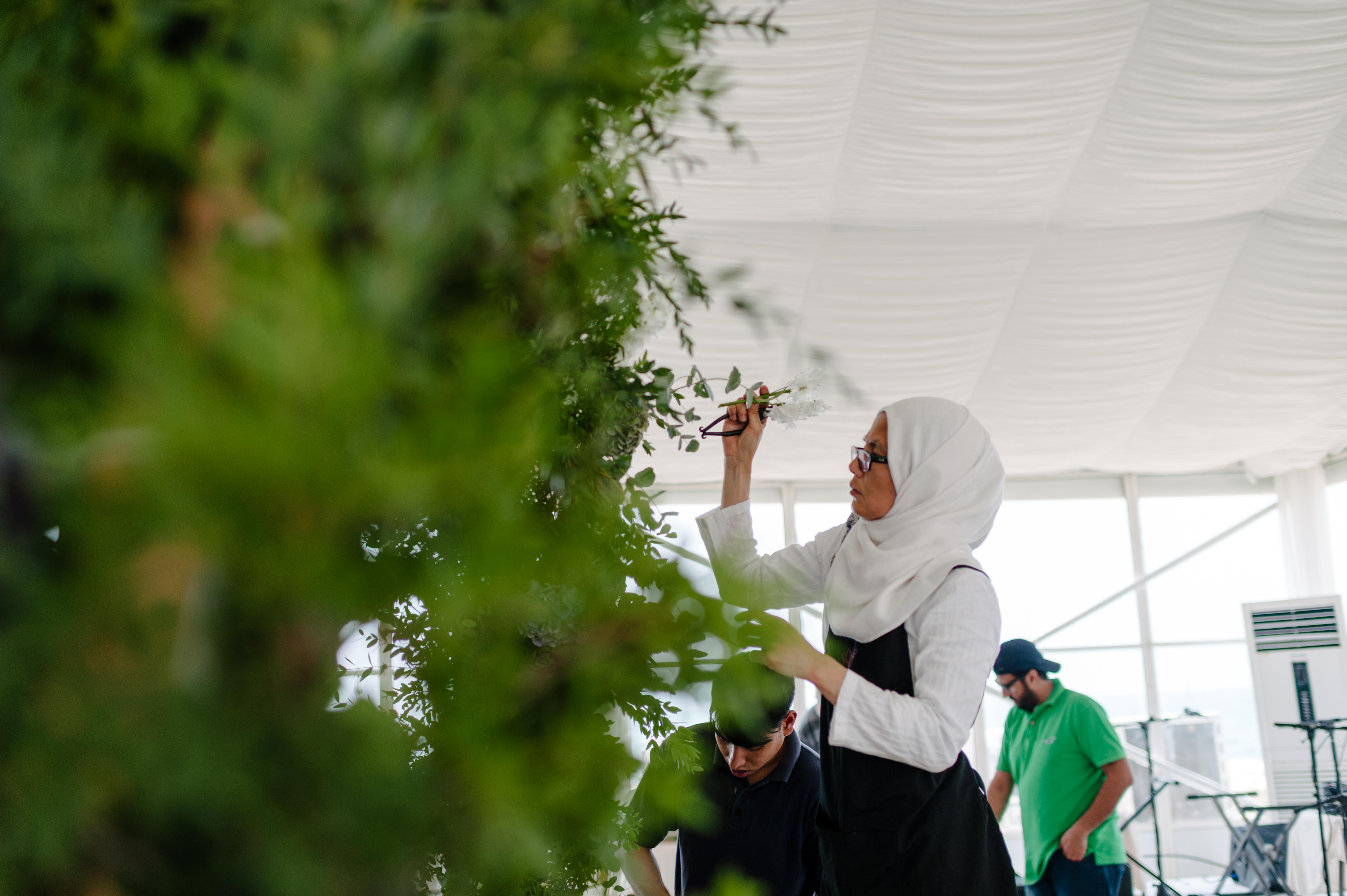 d pruning | 100 Bahrain Stories